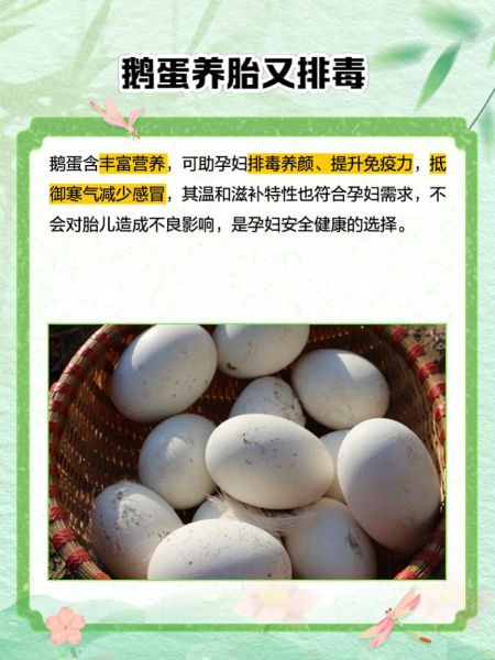 鹅蛋怎么吃_鹅蛋的营养价值与做法大全-第1张图片-山城妙识 鹅蛋怎么吃_鹅蛋的营养价值与做法大全-第1张图片-山城妙识