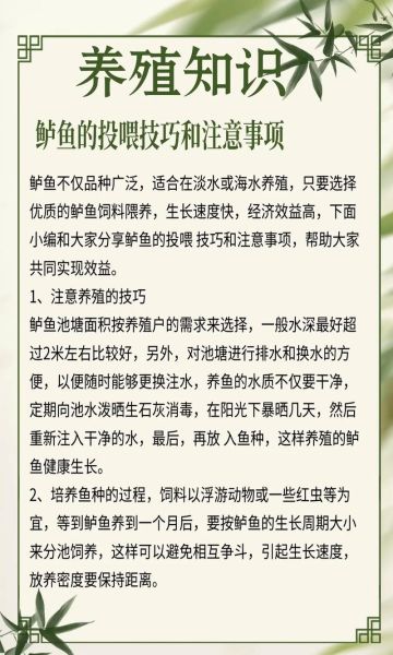 鲈鱼养殖技术_如何提高成活率-第1张图片-山城妙识 鲈鱼养殖技术_如何提高成活率-第1张图片-山城妙识