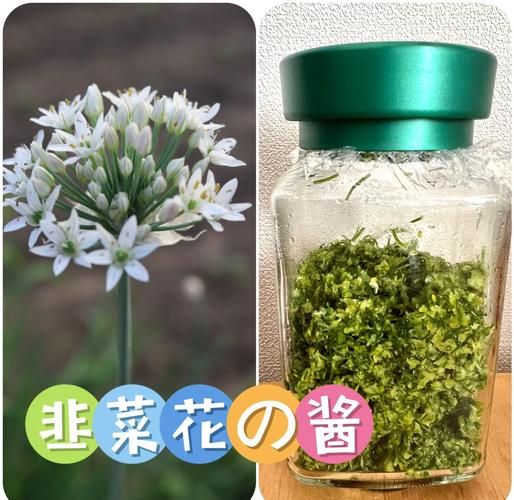 韭菜花酱怎么做_自制韭菜花酱的做法-第1张图片-山城妙识