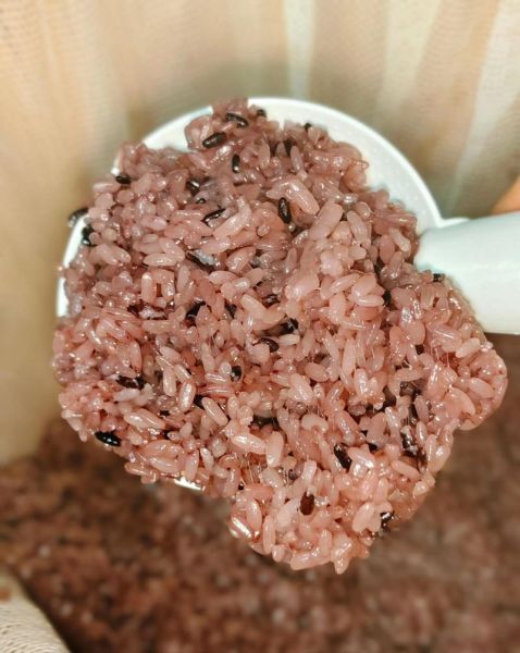 饭团蒸米饭怎么不粘锅_蒸饭团用哪种米最好-第3张图片-山城妙识 饭团蒸米饭怎么不粘锅_蒸饭团用哪种米最好-第3张图片-山城妙识