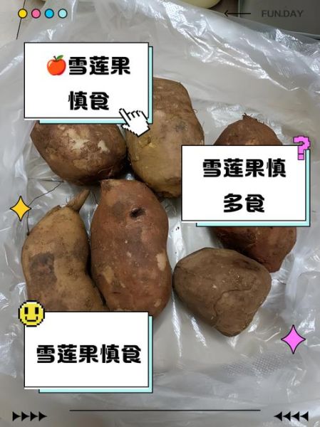 雪莲果为啥不能晚上吃_雪莲果晚上吃有什么危害-第1张图片-山城妙识