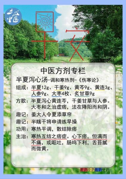 半夏泻心汤的功效与作用_半夏泻心汤适合什么人-第1张图片-山城妙识 半夏泻心汤的功效与作用_半夏泻心汤适合什么人-第1张图片-山城妙识