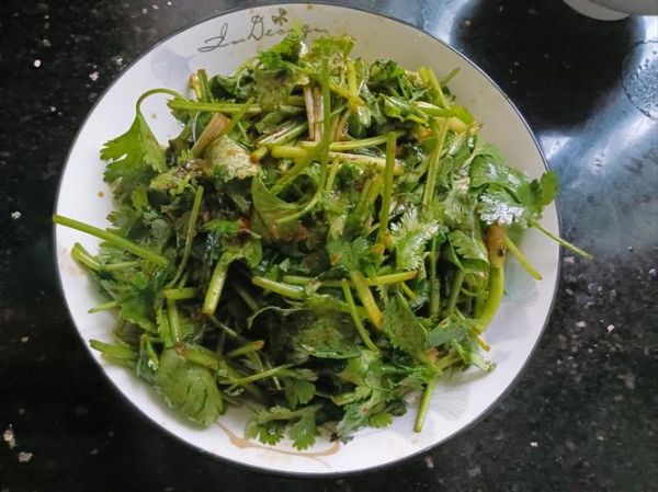 香菜的正确吃法大全_香菜怎么吃才好吃-第2张图片-山城妙识 香菜的正确吃法大全_香菜怎么吃才好吃-第2张图片-山城妙识