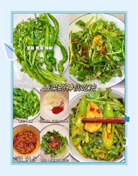 香菜的正确吃法大全_香菜怎么吃才好吃-第1张图片-山城妙识 香菜的正确吃法大全_香菜怎么吃才好吃-第1张图片-山城妙识
