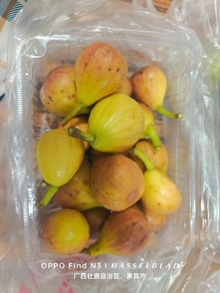 无花果多少钱一斤_无花果价格受哪些因素影响-第1张图片-山城妙识