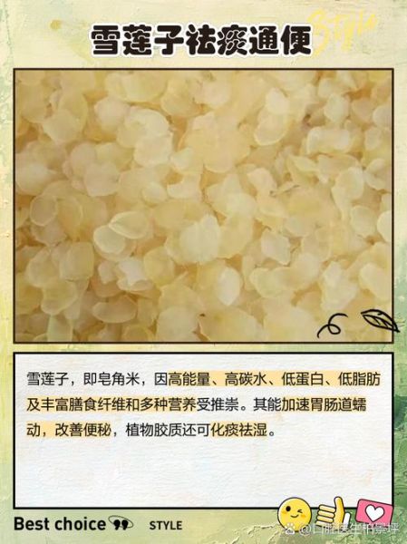 雪莲子是什么东西_雪莲子功效与作用-第2张图片-山城妙识 雪莲子是什么东西_雪莲子功效与作用-第2张图片-山城妙识