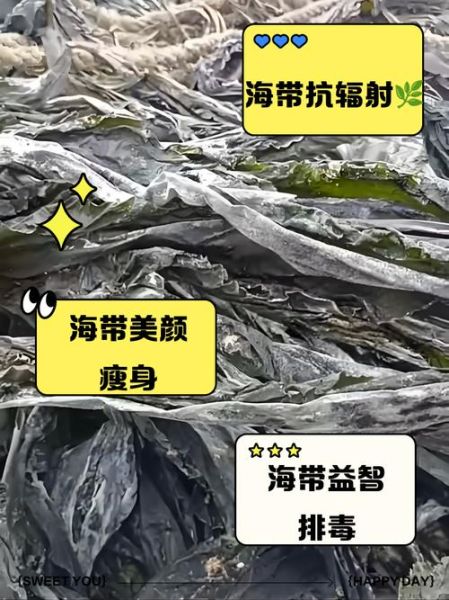 海带有什么营养价值_海带的功效与作用有哪些-第1张图片-山城妙识 海带有什么营养价值_海带的功效与作用有哪些-第1张图片-山城妙识