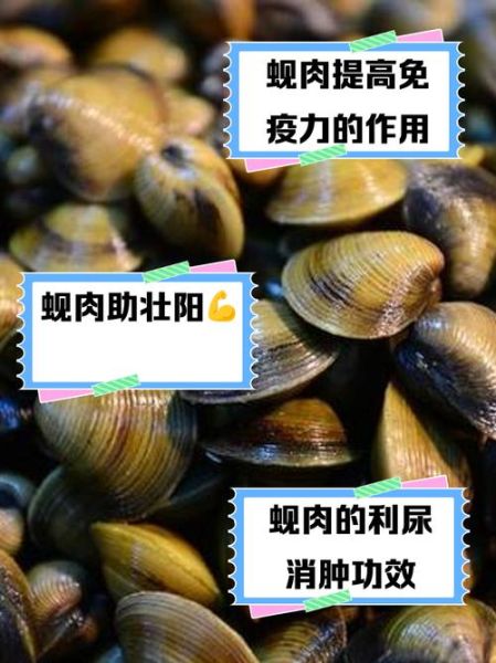 蚬子肉的营养价值_蚬子肉的功效与作用-第1张图片-山城妙识