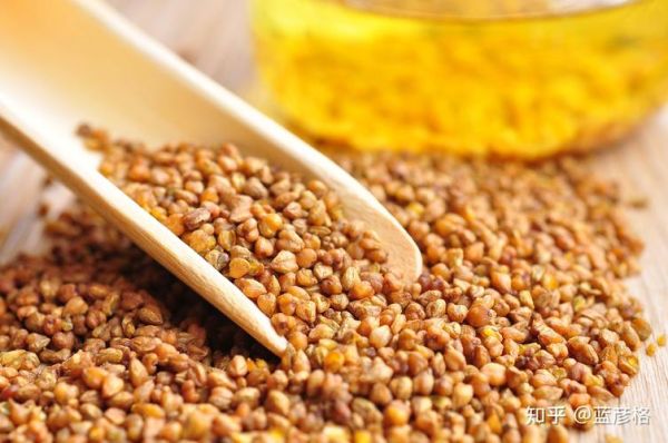 荞麦图片高清_如何挑选优质荞麦-第2张图片-山城妙识 荞麦图片高清_如何挑选优质荞麦-第2张图片-山城妙识