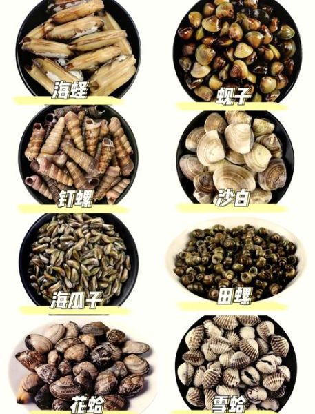 花蛤和文蛤白蛤哪种好吃_口感区别与选购技巧-第1张图片-山城妙识
