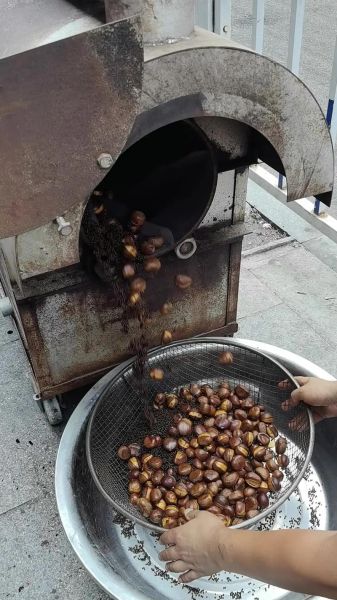 迁西板栗批发价格多少钱一斤_2024最新行情-第2张图片-山城妙识 迁西板栗批发价格多少钱一斤_2024最新行情-第2张图片-山城妙识