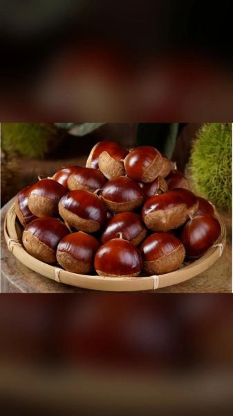 迁西板栗批发价格多少钱一斤_2024最新行情-第3张图片-山城妙识 迁西板栗批发价格多少钱一斤_2024最新行情-第3张图片-山城妙识
