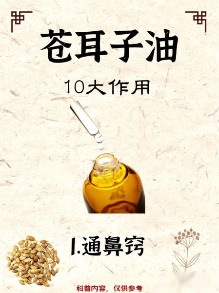 苍耳子治疗鼻炎偏方怎么用_苍耳子治鼻炎有副作用吗-第2张图片-山城妙识 苍耳子治疗鼻炎偏方怎么用_苍耳子治鼻炎有副作用吗-第2张图片-山城妙识