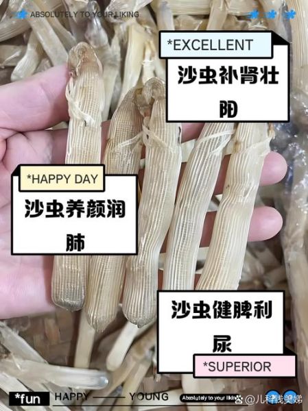 沙虫的功效与作用_沙虫的营养价值有哪些-第1张图片-山城妙识