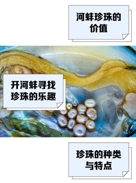 普通河蚌有珍珠吗_如何辨别河蚌珍珠-第1张图片-山城妙识