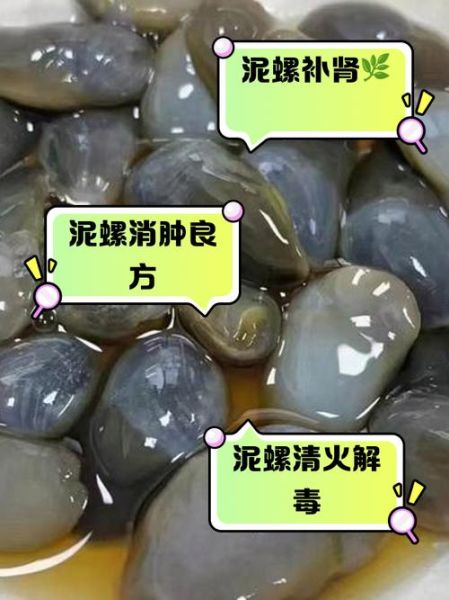 泥螺卵为什么是透明的_泥螺卵透明原因-第1张图片-山城妙识