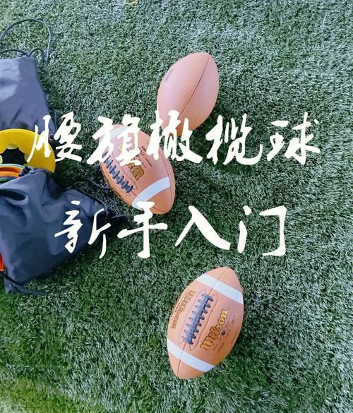 橄榄球规则详解_初学者如何看懂比赛-第2张图片-山城妙识