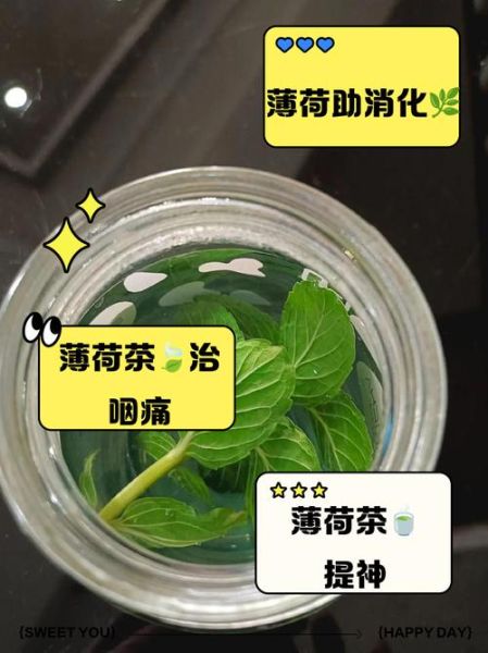薄荷叶图片功效与作用_薄荷叶泡水喝有什么好处-第3张图片-山城妙识 薄荷叶图片功效与作用_薄荷叶泡水喝有什么好处-第3张图片-山城妙识