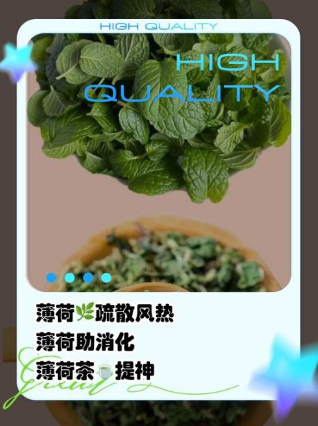 薄荷叶图片功效与作用_薄荷叶泡水喝有什么好处-第1张图片-山城妙识 薄荷叶图片功效与作用_薄荷叶泡水喝有什么好处-第1张图片-山城妙识