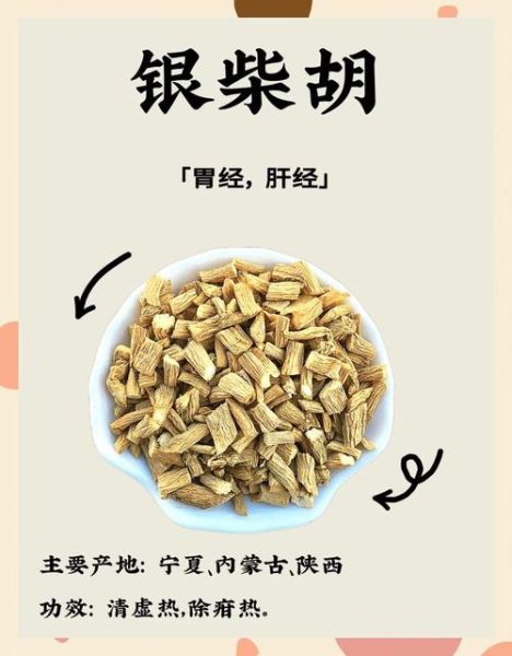 银柴胡图片长什么样_如何辨别真假银柴胡-第2张图片-山城妙识