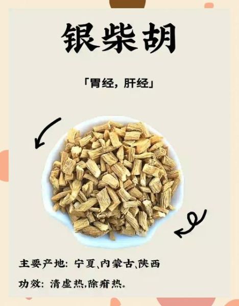银柴胡图片长什么样_如何辨别真假银柴胡-第1张图片-山城妙识