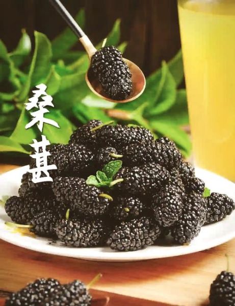 黑桑葚的功效与作用_黑桑葚怎么吃效果最好-第3张图片-山城妙识