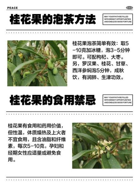 桂花怎么处理才能吃_新鲜桂花食用前必须做的步骤-第2张图片-山城妙识 桂花怎么处理才能吃_新鲜桂花食用前必须做的步骤-第2张图片-山城妙识