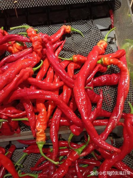 红辣椒图片怎么拍_红辣椒图片拍摄技巧-第3张图片-山城妙识 红辣椒图片怎么拍_红辣椒图片拍摄技巧-第3张图片-山城妙识
