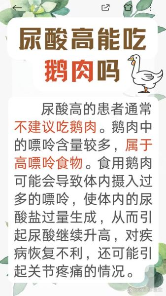 鹅肉什么人不能吃_痛风能吃鹅肉吗-第1张图片-山城妙识 鹅肉什么人不能吃_痛风能吃鹅肉吗-第1张图片-山城妙识