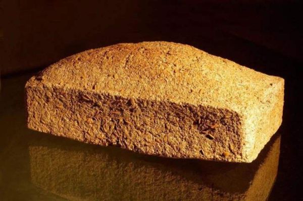 酒曲虫长什么样_酒曲虫怎么处理-第2张图片-山城妙识 酒曲虫长什么样_酒曲虫怎么处理-第2张图片-山城妙识