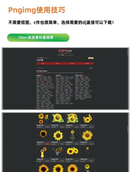 如何挑选高清素材图片_高清图片下载网站推荐-第1张图片-山城妙识 如何挑选高清素材图片_高清图片下载网站推荐-第1张图片-山城妙识