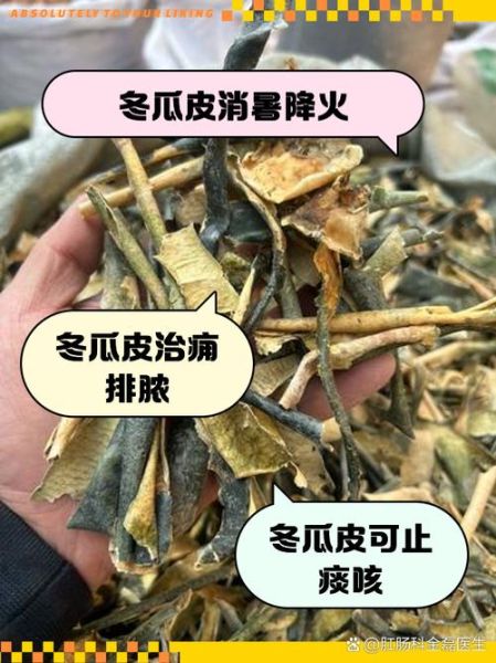新鲜冬瓜皮的功效与作用_冬瓜皮怎么吃好-第1张图片-山城妙识