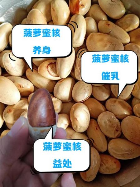 菠萝蜜核的功效与作用_怎么吃最好-第1张图片-山城妙识 菠萝蜜核的功效与作用_怎么吃最好-第1张图片-山城妙识