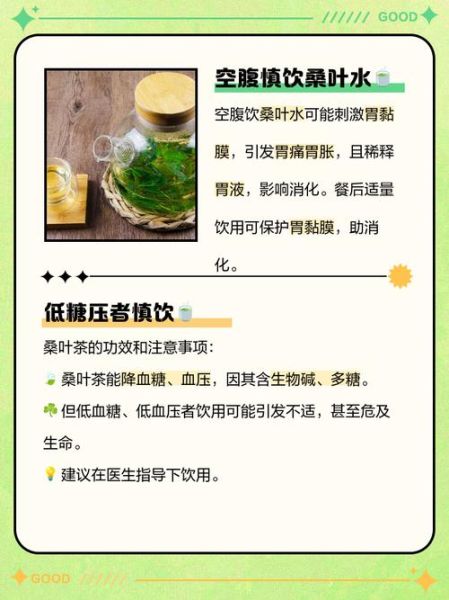 桑叶茶什么人不能喝_桑叶茶禁忌有哪些-第2张图片-山城妙识