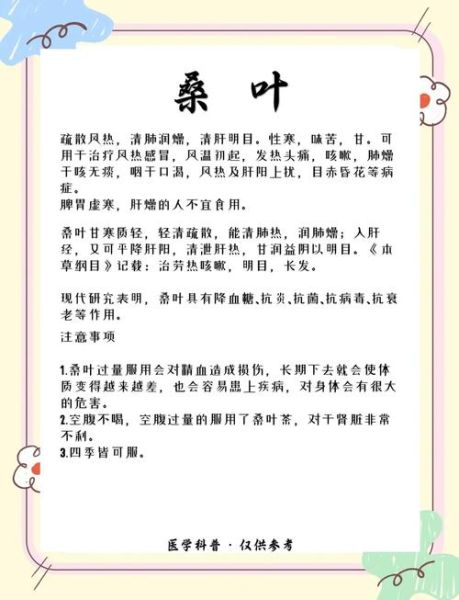 桑叶茶什么人不能喝_桑叶茶禁忌有哪些-第3张图片-山城妙识