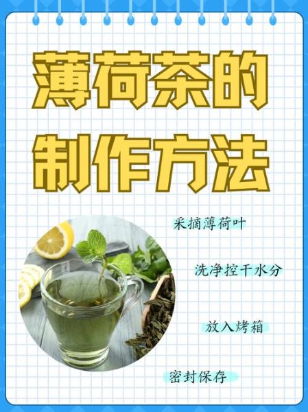 薄荷茶怎么泡_自制薄荷茶的做法-第1张图片-山城妙识