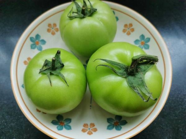 青番茄有毒吗_吃了会不会中毒-第1张图片-山城妙识 青番茄有毒吗_吃了会不会中毒-第1张图片-山城妙识