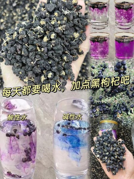 黑枸杞怎么泡水_黑枸杞一天吃多少粒-第3张图片-山城妙识 黑枸杞怎么泡水_黑枸杞一天吃多少粒-第3张图片-山城妙识