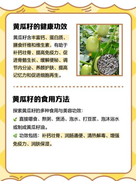 黄瓜子的功效与作用_黄瓜子怎么吃效果最好-第1张图片-山城妙识