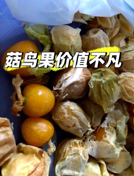 菇鸟功效与作用_菇鸟怎么吃好-第1张图片-山城妙识