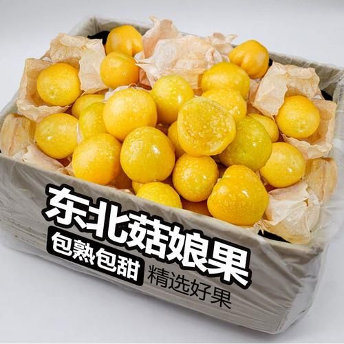 菇鸟功效与作用_菇鸟怎么吃好-第2张图片-山城妙识