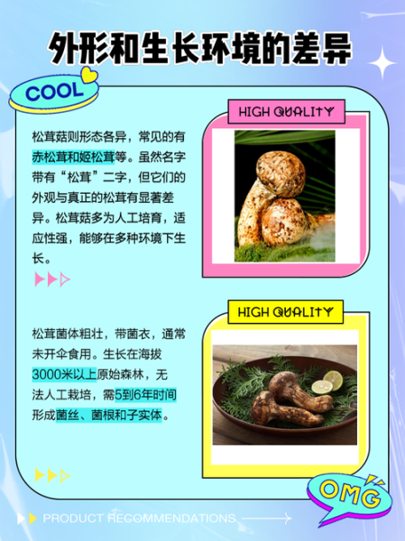 松树蘑菇种类大全_如何区分松蘑与松茸-第2张图片-山城妙识