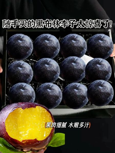 黑李子能减肥吗_黑李子功效与作用禁忌-第3张图片-山城妙识