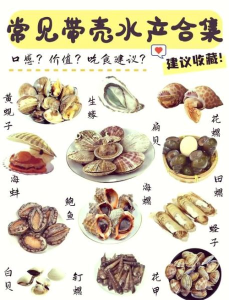 蛏子和蚬子的区别_哪个更好吃-第1张图片-山城妙识 蛏子和蚬子的区别_哪个更好吃-第1张图片-山城妙识