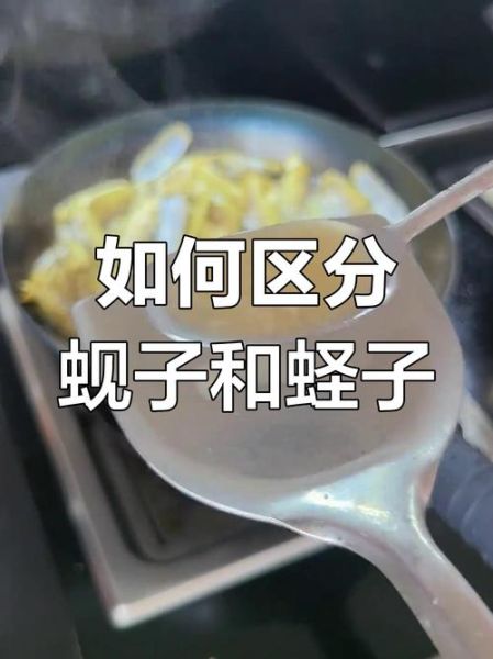 蛏子和蚬子的区别_哪个更好吃-第3张图片-山城妙识 蛏子和蚬子的区别_哪个更好吃-第3张图片-山城妙识