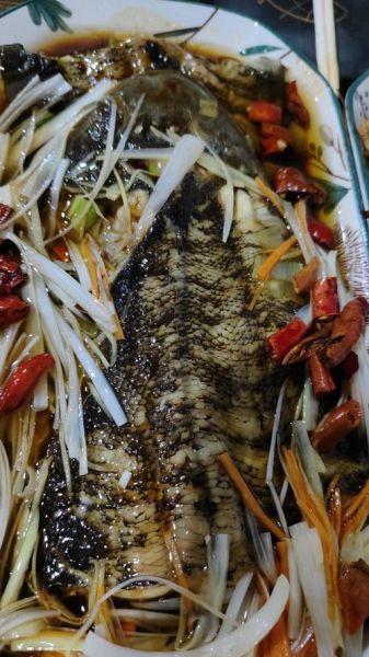 龙利鱼哪些人不能吃_痛风患者能吃龙利鱼吗-第3张图片-山城妙识 龙利鱼哪些人不能吃_痛风患者能吃龙利鱼吗-第3张图片-山城妙识