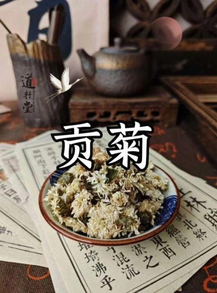 贡菊花茶的功效与作用_贡菊花茶什么人不能喝-第1张图片-山城妙识 贡菊花茶的功效与作用_贡菊花茶什么人不能喝-第1张图片-山城妙识