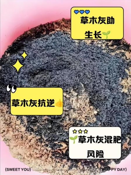 草木灰化学式是什么_草木灰主要成分有哪些-第3张图片-山城妙识 草木灰化学式是什么_草木灰主要成分有哪些-第3张图片-山城妙识