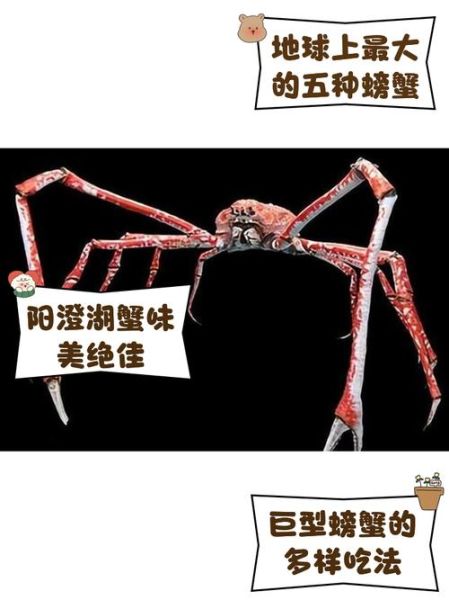 巨型螃蟹电影有哪些_为什么让人害怕-第2张图片-山城妙识 巨型螃蟹电影有哪些_为什么让人害怕-第2张图片-山城妙识