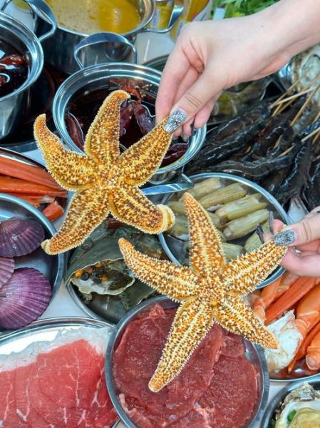 象拔蚌进了我的扇贝海星_能一起养吗-第3张图片-山城妙识 象拔蚌进了我的扇贝海星_能一起养吗-第3张图片-山城妙识